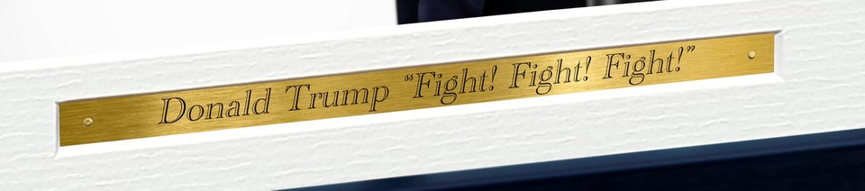 12x8 A4 Donald Trump President Republican Rally Fight Signed ...