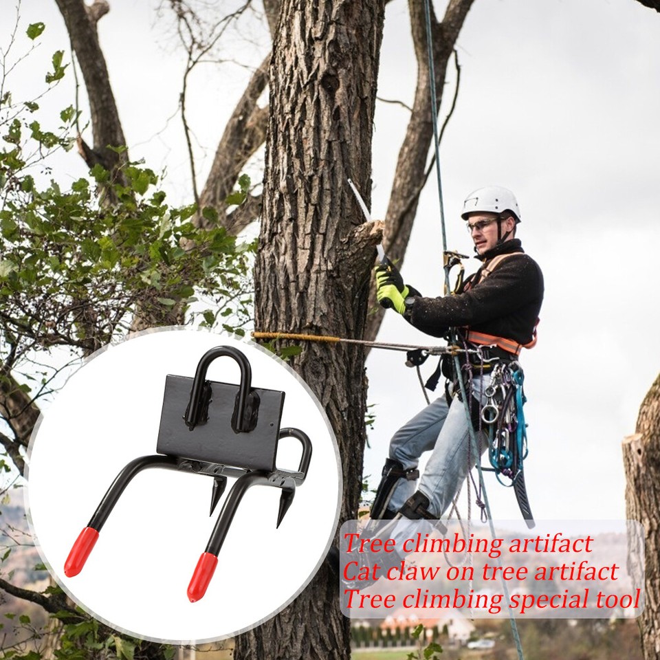 Professional Pole Climbing Sharp Spurs Tool Tree Climbing Equipment ...