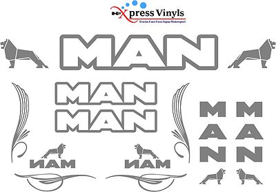 MAN truck decals. MAN truck window body graphic stickers TGS TGX TGM | eBay