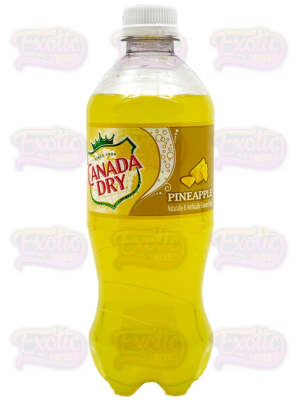 Canada Dry Pineapple 20oz - 6 12 and 24 pack | eBay