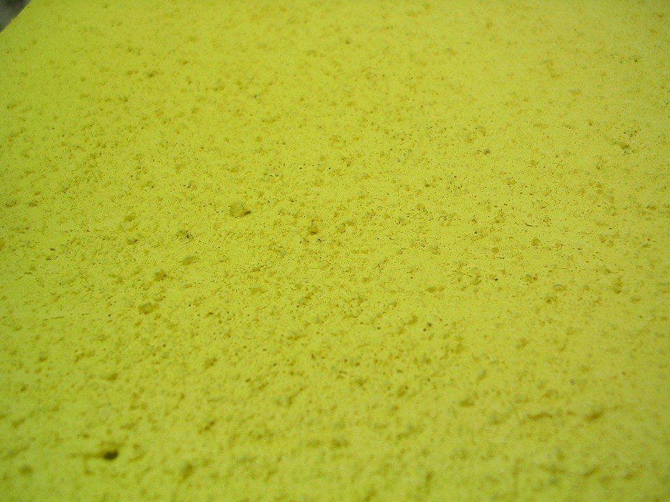 Dog Agility Mini Puppy Dog Walk | eBay