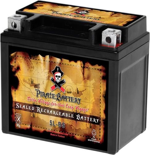 Pirate Battery YTX5L-BS Maintenance Free Replacement Battery Compatible ...