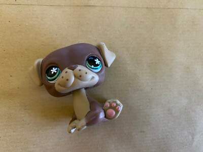 LITTLEST PETSHOP CHIEN CARLIN DOG LPS 889 | eBay