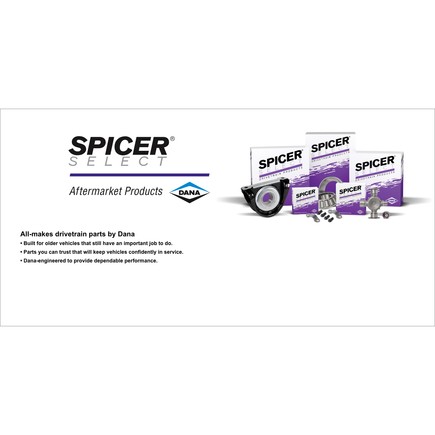 Dana 25-513382 Differential Gear Set 15.4 Gear Size, 10 Pinion Teeth ...