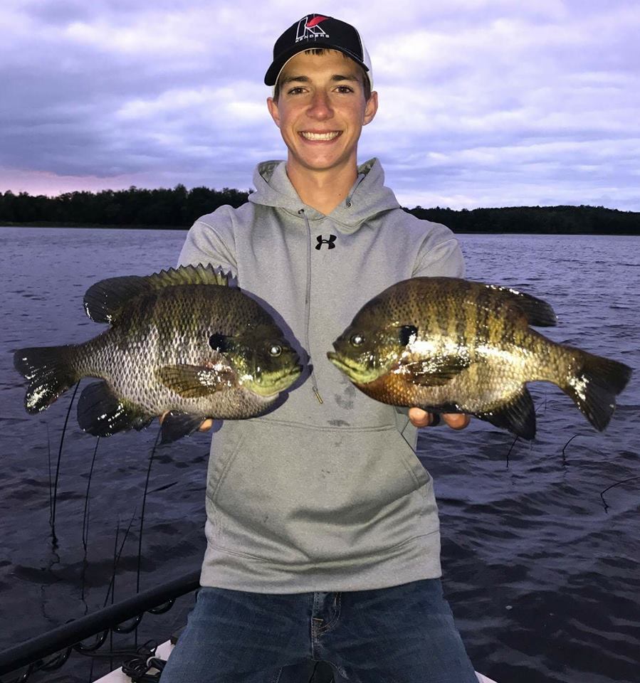 Ice Fishing Jig Kit (60 Tungsten Jigs) with Waterproof Jig Box, Panfish ...