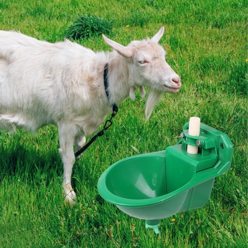 Sheep Water Bowl Watering System Livestock Waterer for Horse Cow Farm ...
