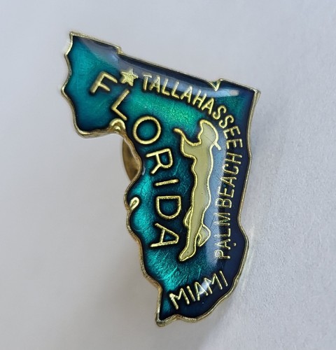 Florida Map Lapel Pin Tallahassee Palm Beach Miami | eBay