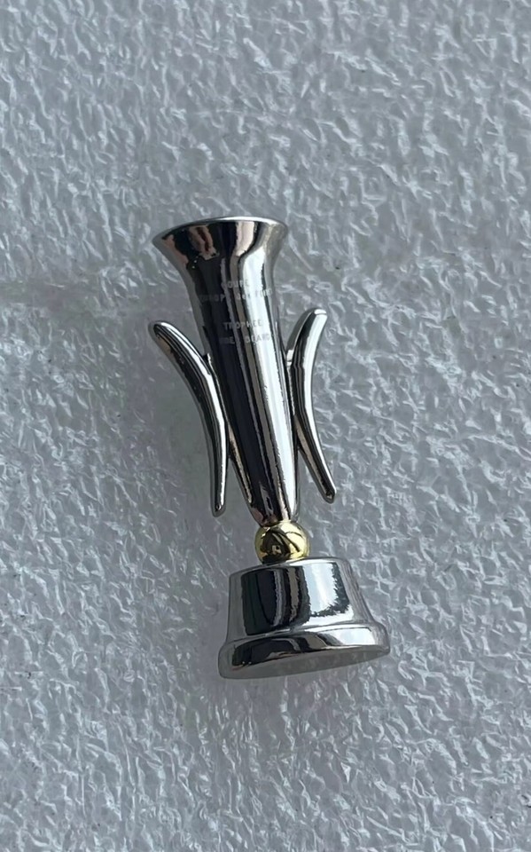 Newcastle United Inter-Cities Fairs Cup Winners Trophy Pin Badge | eBay UK