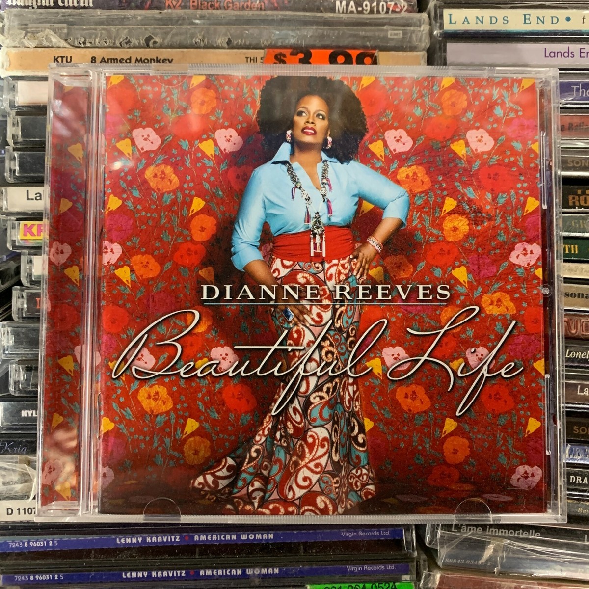 Dianne Reeves Beautiful Life