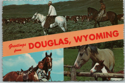 Vintage Postcard Greetings From Douglas Wyoming Horse Cattle | eBay