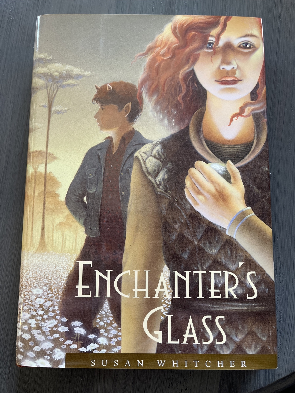 Enchanter's Glass by Susan Whitcher (1996, Hardcover) for sale online ...