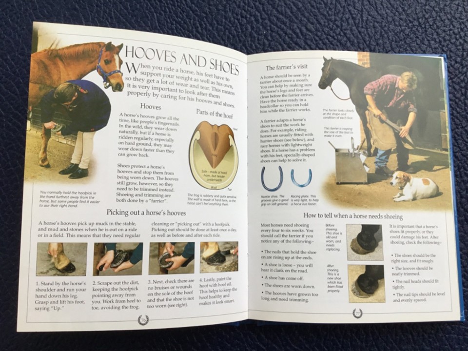 Usborne Little book of Riding and Pony Care | eBay UK