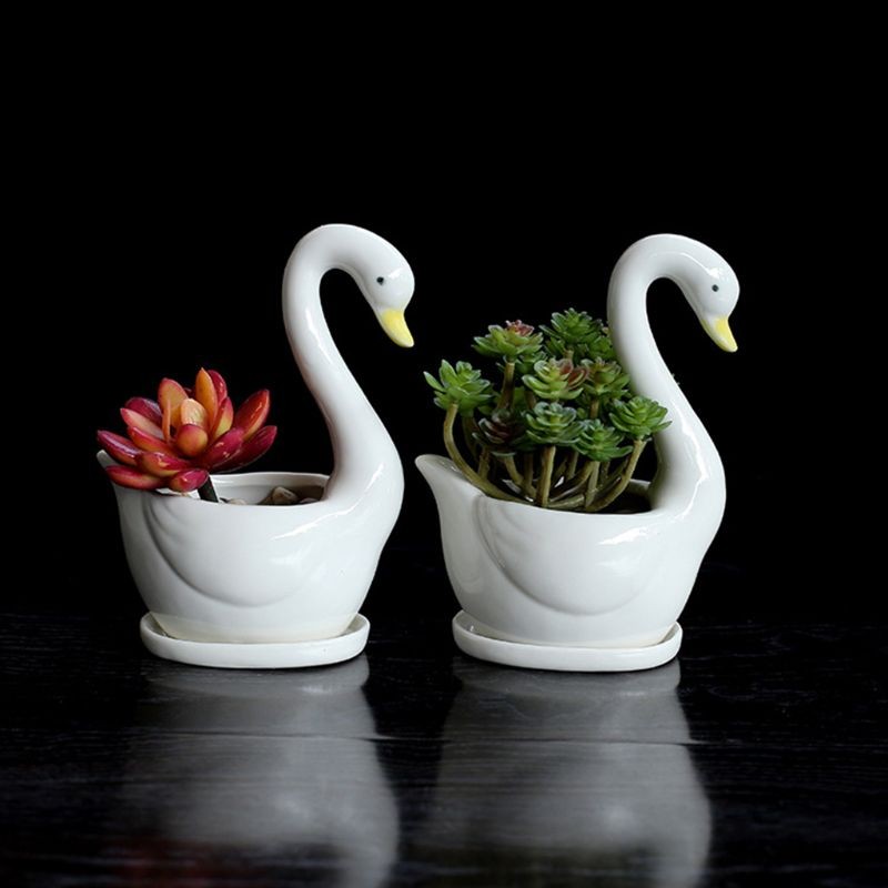 White Swan Ceramic Flower Pot Succulent Plant Flowerpot Planter Desktop ...