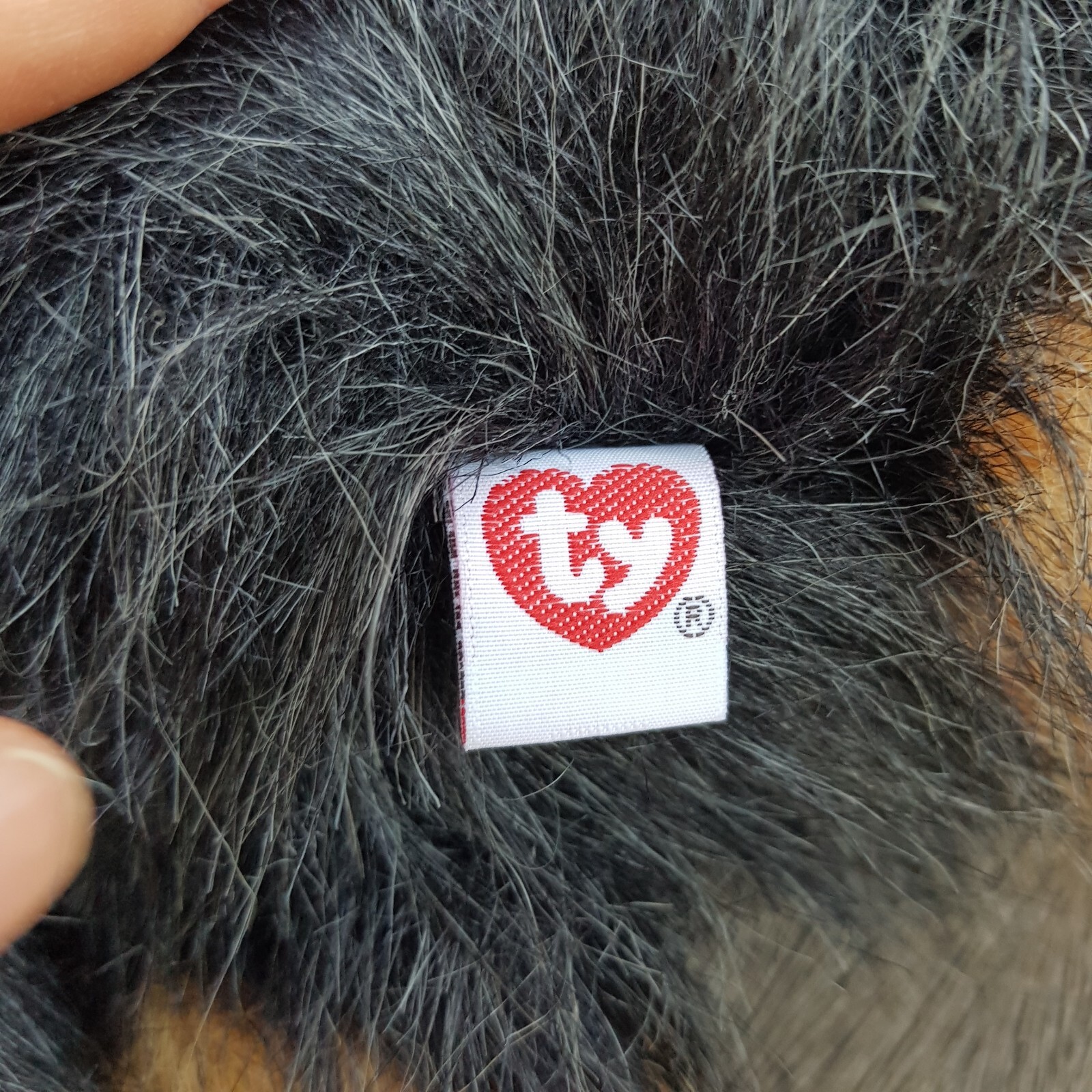 TY Yappy Yorkie Yorkshire Terrier Dog Retired Puppy Classic Plush ...