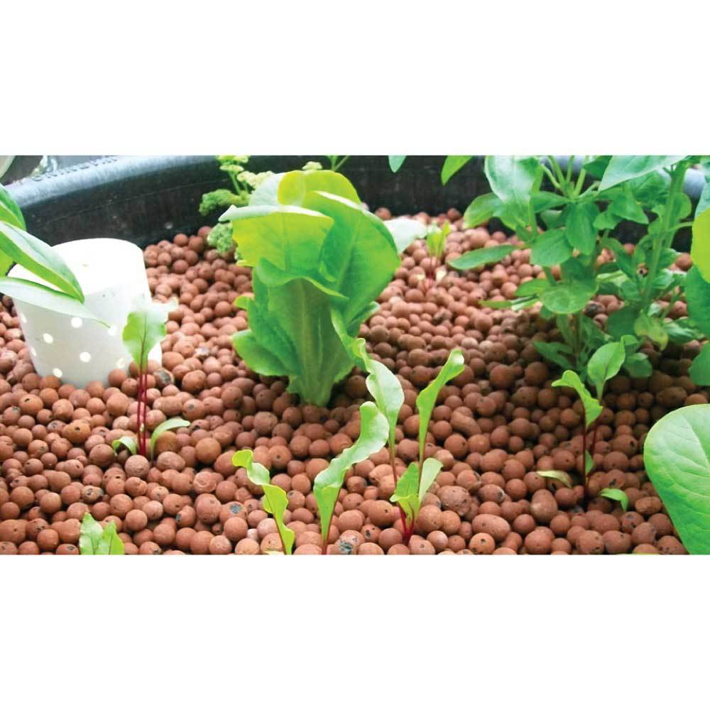 50L Hydro Clay Balls - Organic Premium Hydroponic Expanded Plant ...
