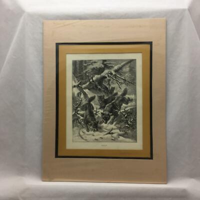 Wildlife Illustration Animate Creation 1898 Rev Woods Matted Print ...