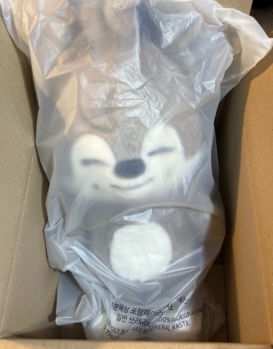 Stray Kids SKZOO Wolf Chan Plush Teddybear Ver. K-pop Official New 60cm ...