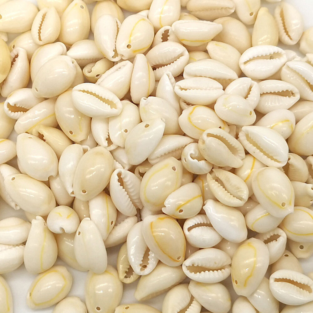 50× Small Bulk Cut Sea Shell White Cowrie Cowry Beads Beach Jewelry DIY ...