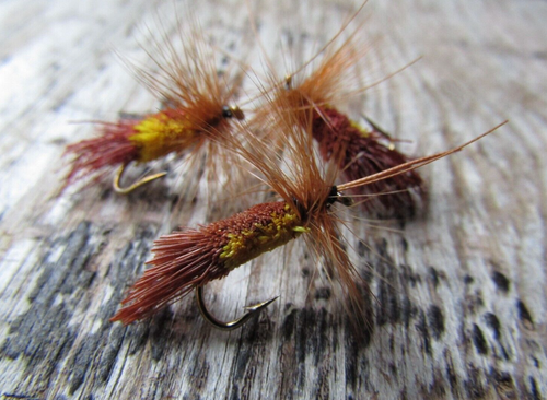 Welshman's Button G&H Sedge Fly Irish Lough wet flies 3 x 10 ;) | eBay UK