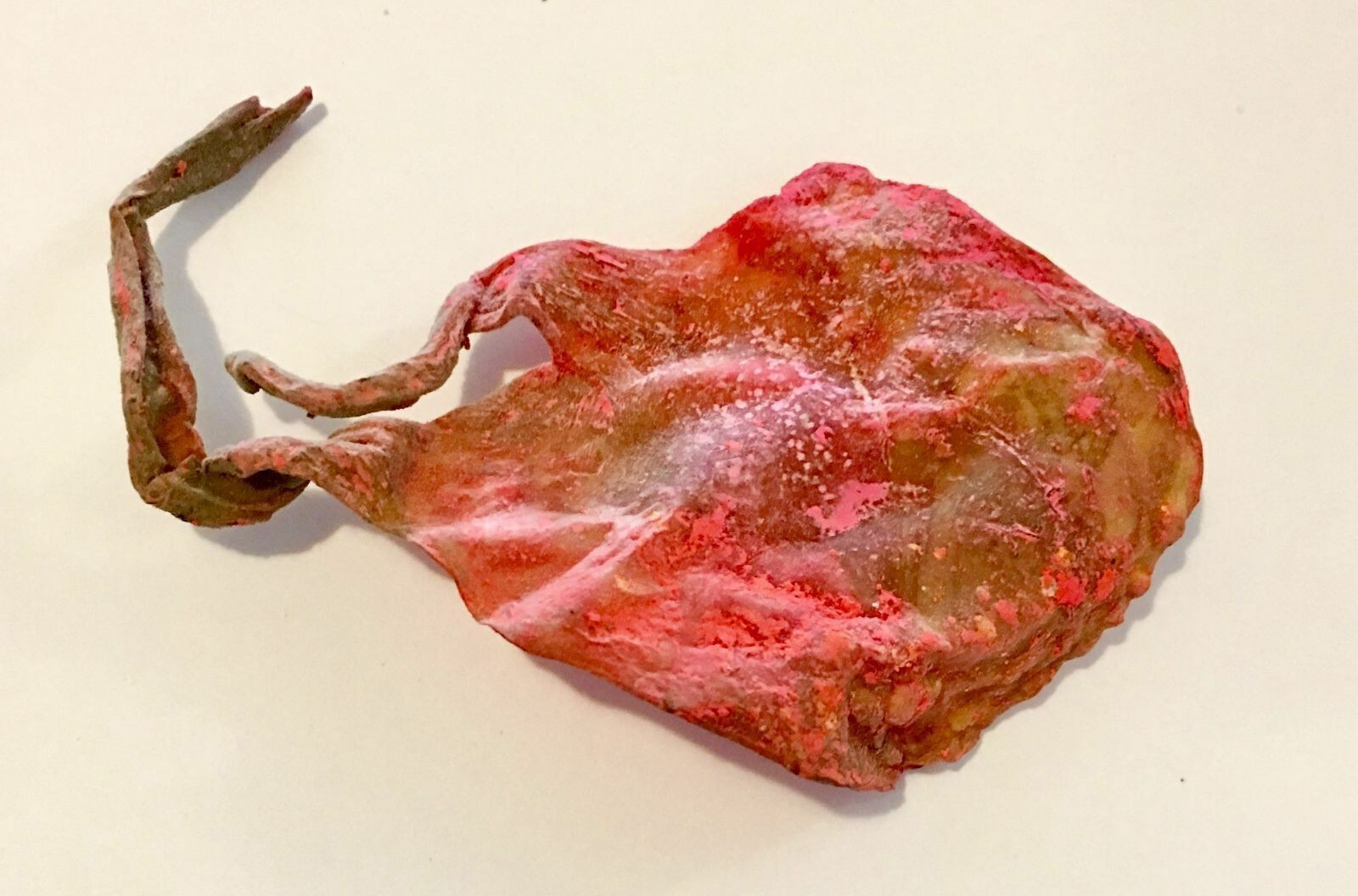 Authentic Billi Ki Jer Cord - Original Energized 24,000 Mantras - Luck ...