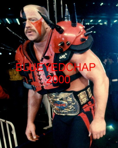 ROAD WARRIOR HAWK WRESTLER 8 X 10 WRESTLING PHOTO AWA WCW WWF | eBay