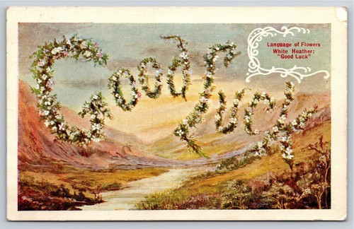 Greetings~Language Of Flowers~White Heather Good Luck~PM 1909~Vintage ...