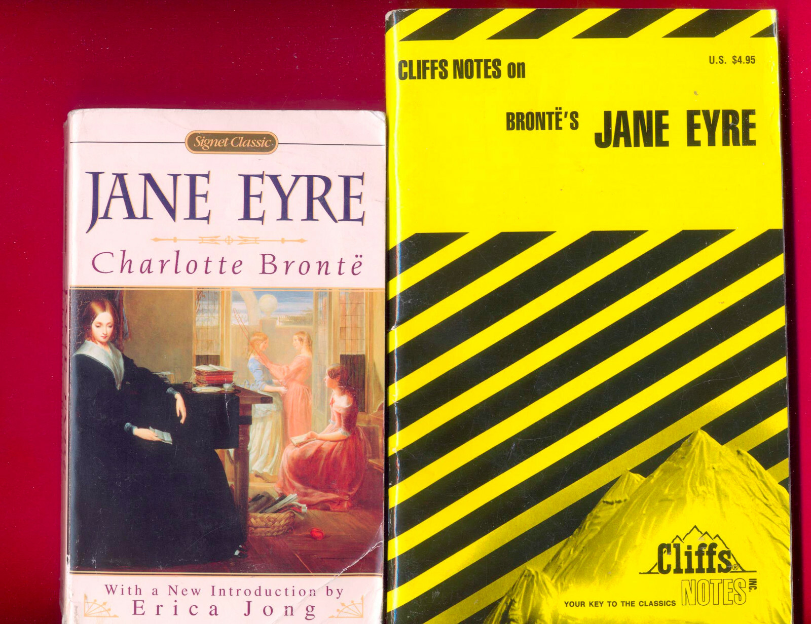 Jane Eyre by Charlotte Bronte & Cliffs Notes study guide 9780141441146 ...