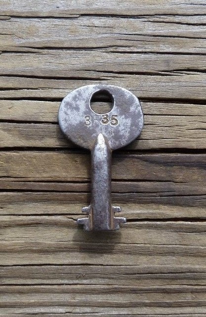 Master key vs skeleton key - afridop