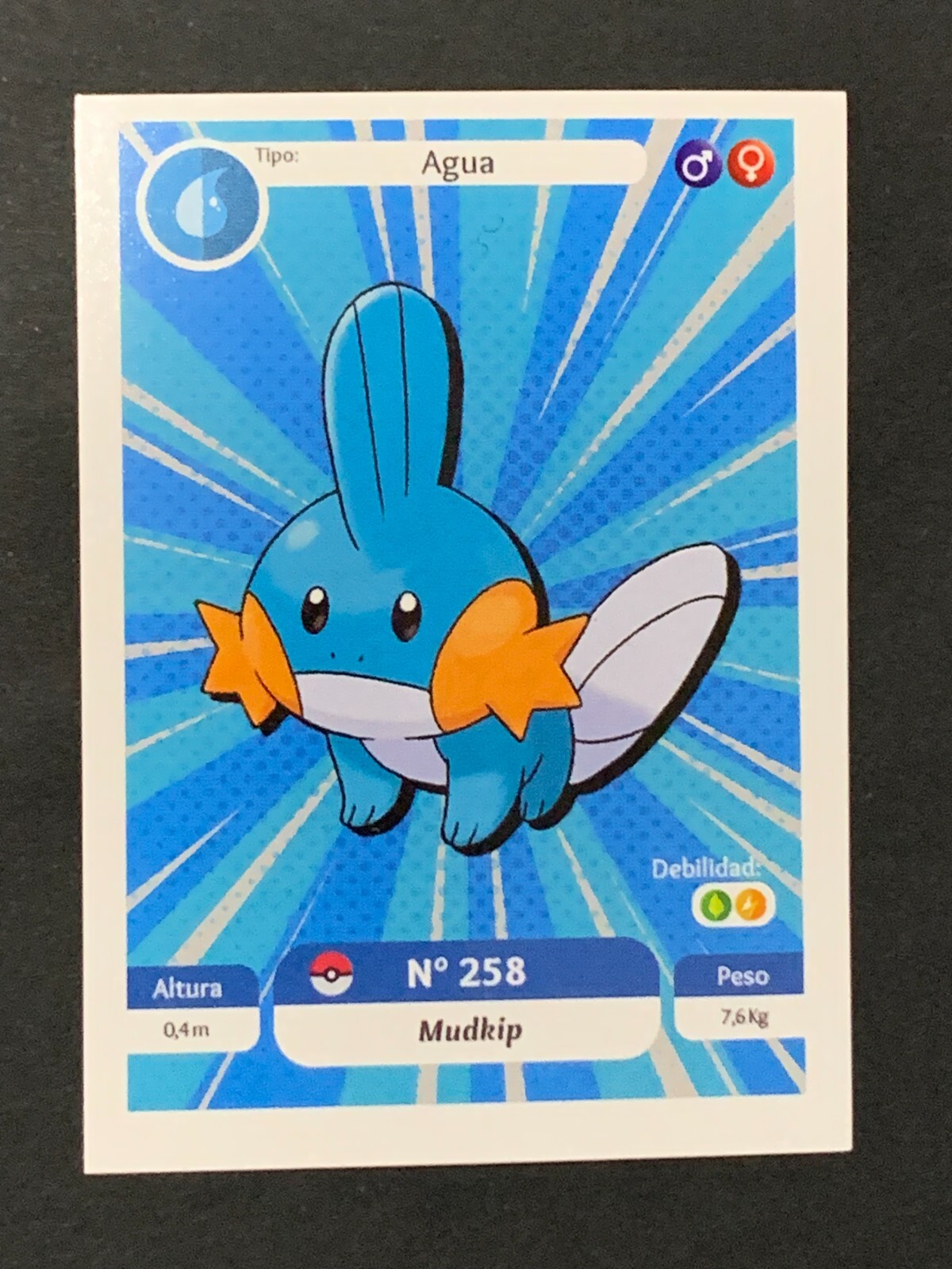 POKEMON HOENN & SINNOH Sticker MC #005 MUDKIP South America Edition ...