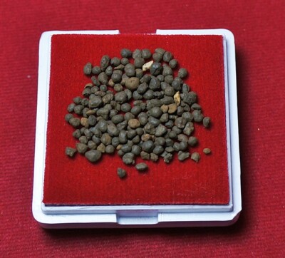 Original Holy Sarira Phra Tath Antique Buddha Relics, Sakayamuni,Rare ...