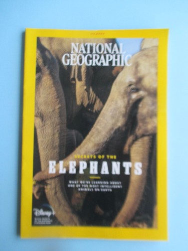 National Geographic Magazine May 2023 - Secrets of the Elephants | eBay
