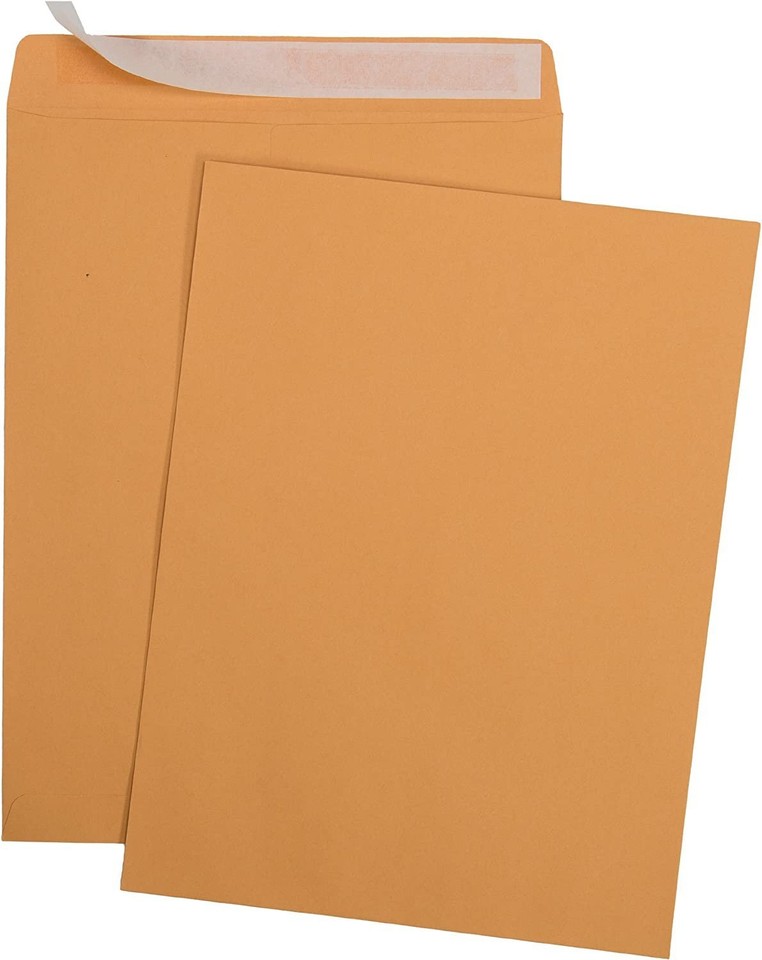 9 X 12 Self-Seal Brown Kraft Catalog Envelopes - 28lb - 9x12 inch ...