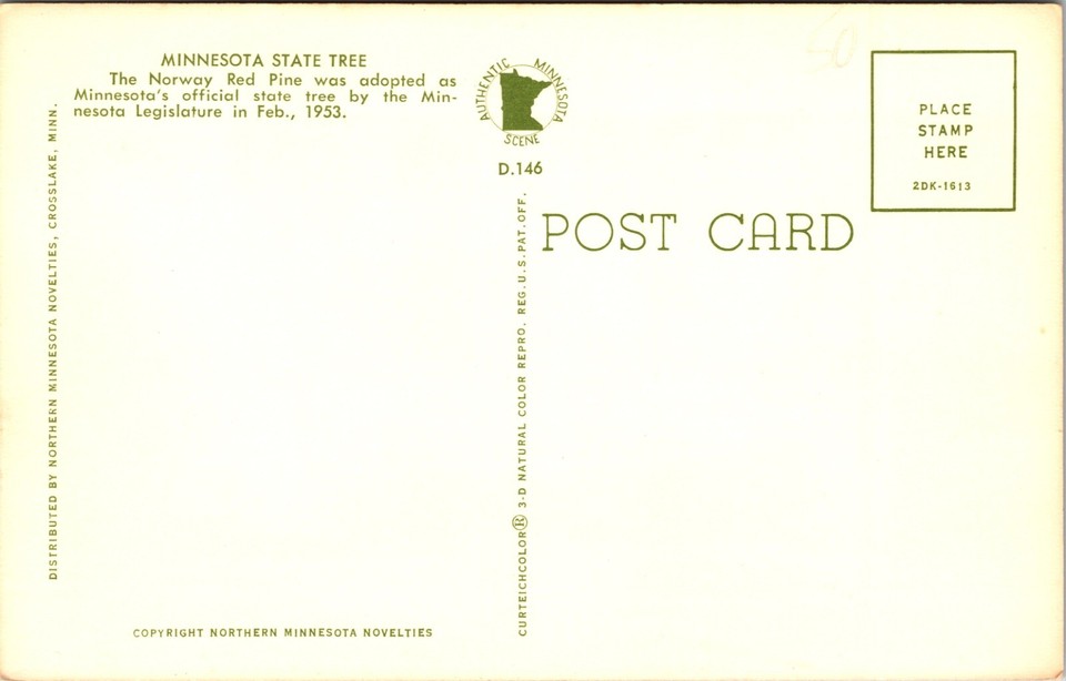 Minnesota State Tree Norway Red Pine Chevrolet Corvair Van MN Postcard ...
