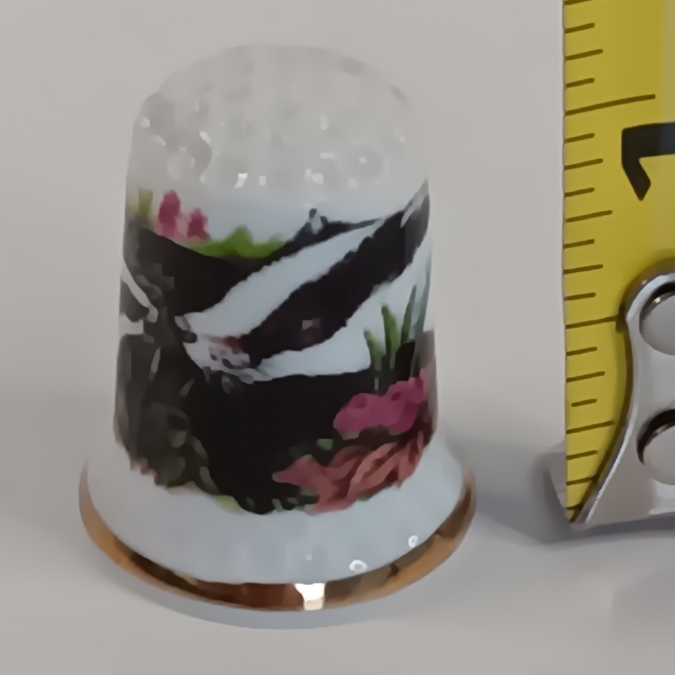 Thimble Collectors Club Badgers Fine Bone China Royal England | eBay