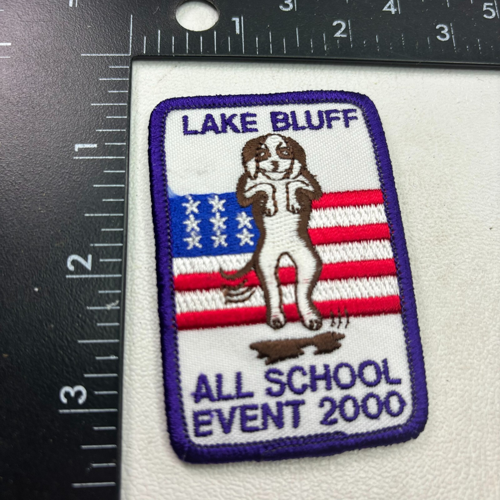 Funny Dog USA Flag LAKE BLUFF ALL SCHOOL EVENT 2000 Patch 42AC | eBay