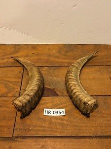 The Wildlife Ranch | eBay Stores