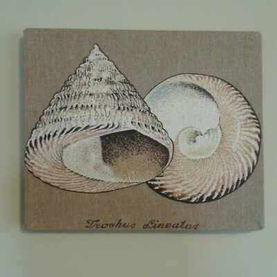 Shell Fabric Wall Hanging Art Trochus Lineatus Textile Screen Print ...