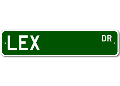 LEX Street Sign - Personalized Last Name Signs | eBay