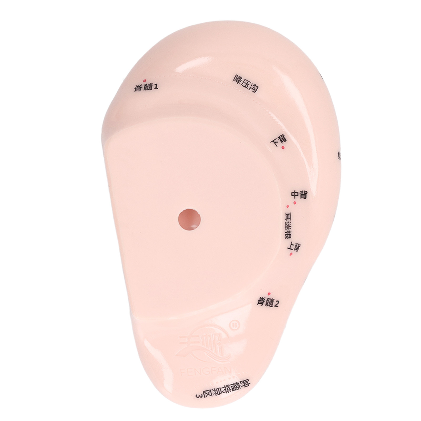 17cm Ear Point Probe 600pcs Auricular Patches Silicone Ear Model ...