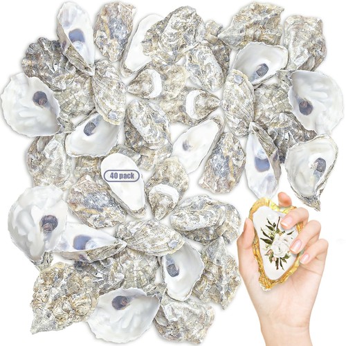 Large Oyster Shells 40PCS Bulk 4"-5" DIY Home Decor Vase Filler Craft ...