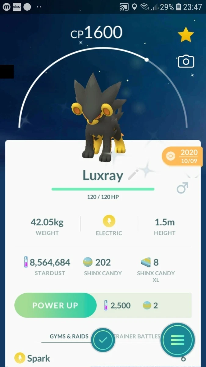 Shiny Shinx Evolution
