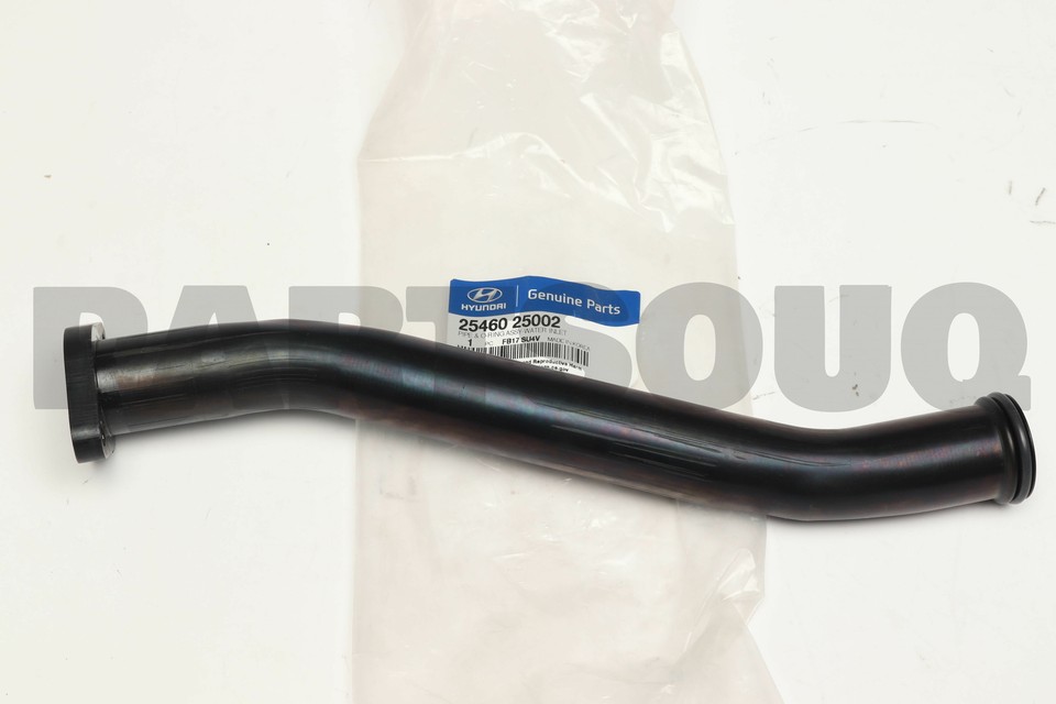 2546025002 Genuine Hyundai / KIA PIPE & O-RING ASSY-W/INLET | eBay