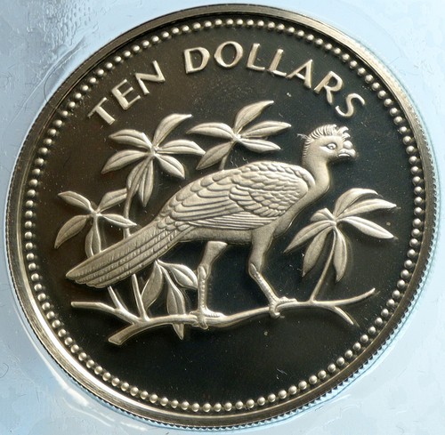 1974 BELIZE Avifauna Great Curasso BIRD VINTAGE Proof Silver $10 Coin ...