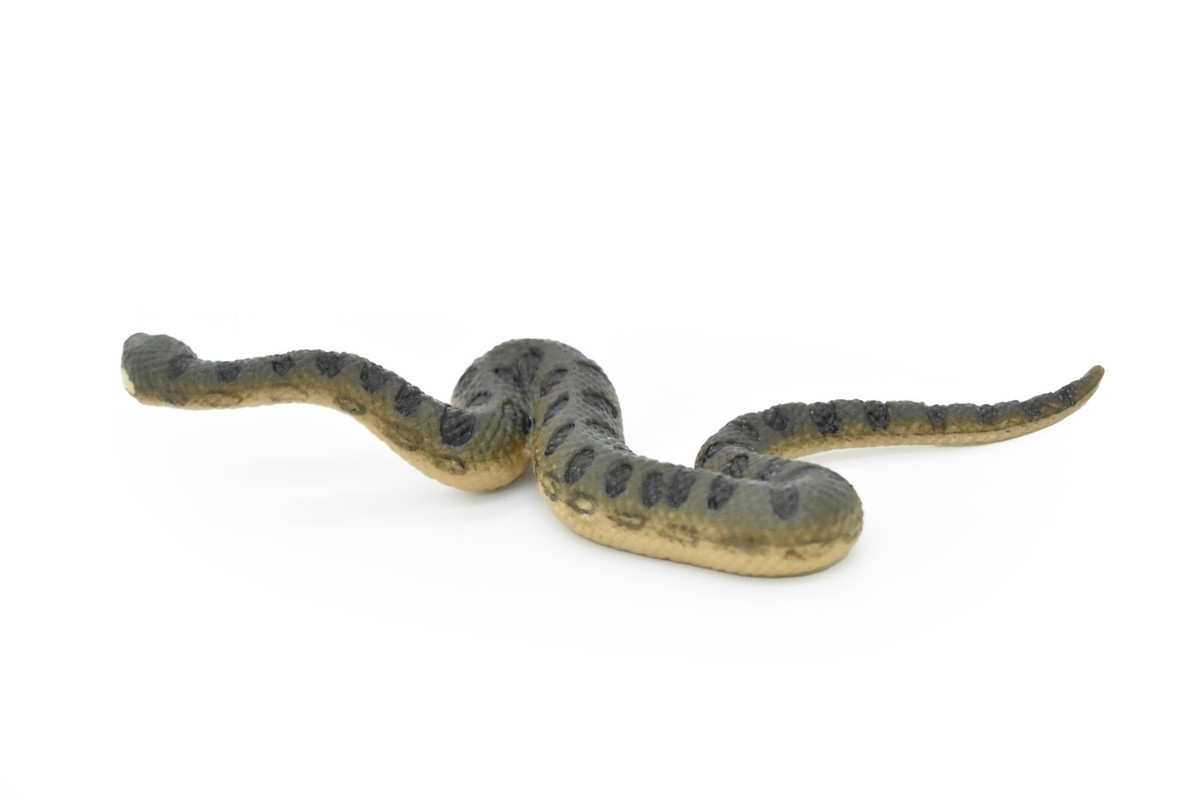 Anaconda Painting
