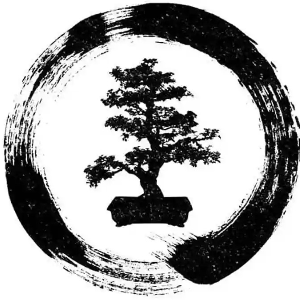 Bonsai Vibe | eBay Stores