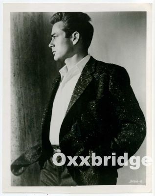 James Dean Rebel Without Cause 1955 Photo Side Profile Handsome Actor ...