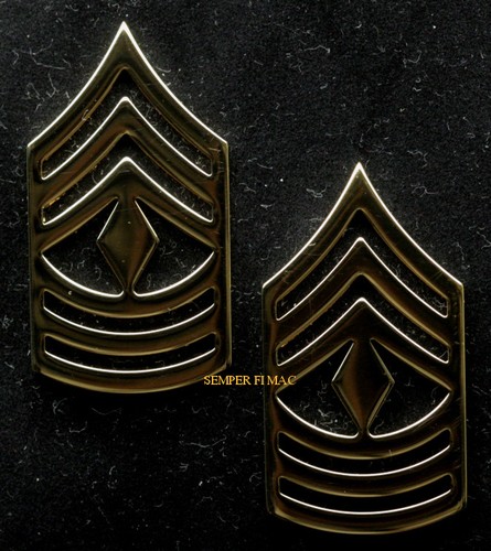 TWO (2) REGULATION US ARMY FIRST SERGEANT E8 GOLD LAPEL HAT PIN 1SG UP ...