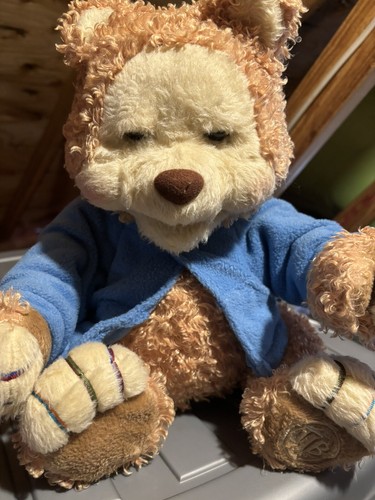 Hasbro Playskool TJ Bearytales Interactive Talking Plush Bear Teddy ...