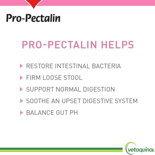 Vetoquinol Pro-Pectalin Oral Paste - 30cc for sale online | eBay