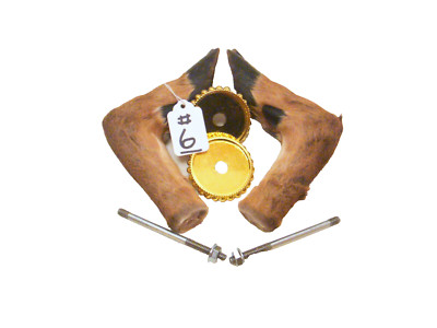 TAXIDERMY CURED DEER FEET HOOVES WITH MOUNTING HARDWARE ## 6 ( SHIP USA ...